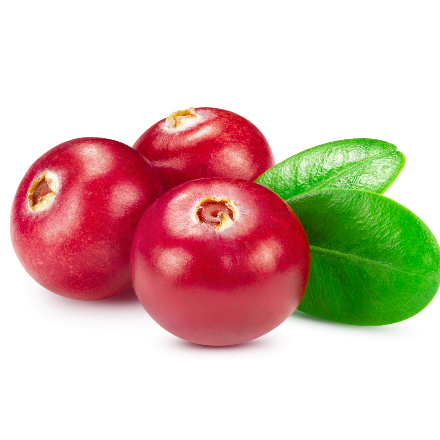 Cranberry Flavor Nat & Art – Red's Flavors