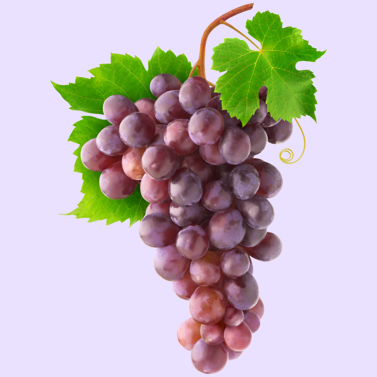 Grape Flavor Artificial – Red's Flavors